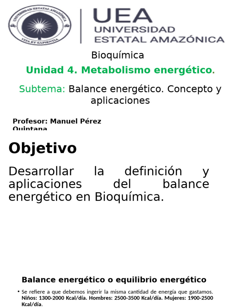 5qué Es El Balance Energético | PDF