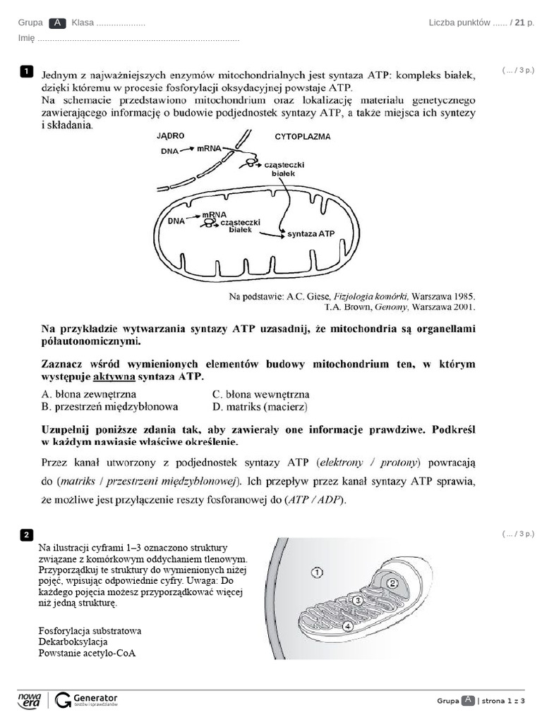 4.6 Oddychanie Tlenowe. Oddychanie Komorkowe Test Z Widoczna Punktacja ...