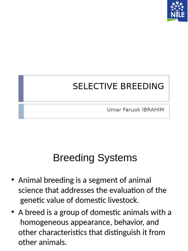 BTG 308 Lecture 5 Selective Breeding | PDF