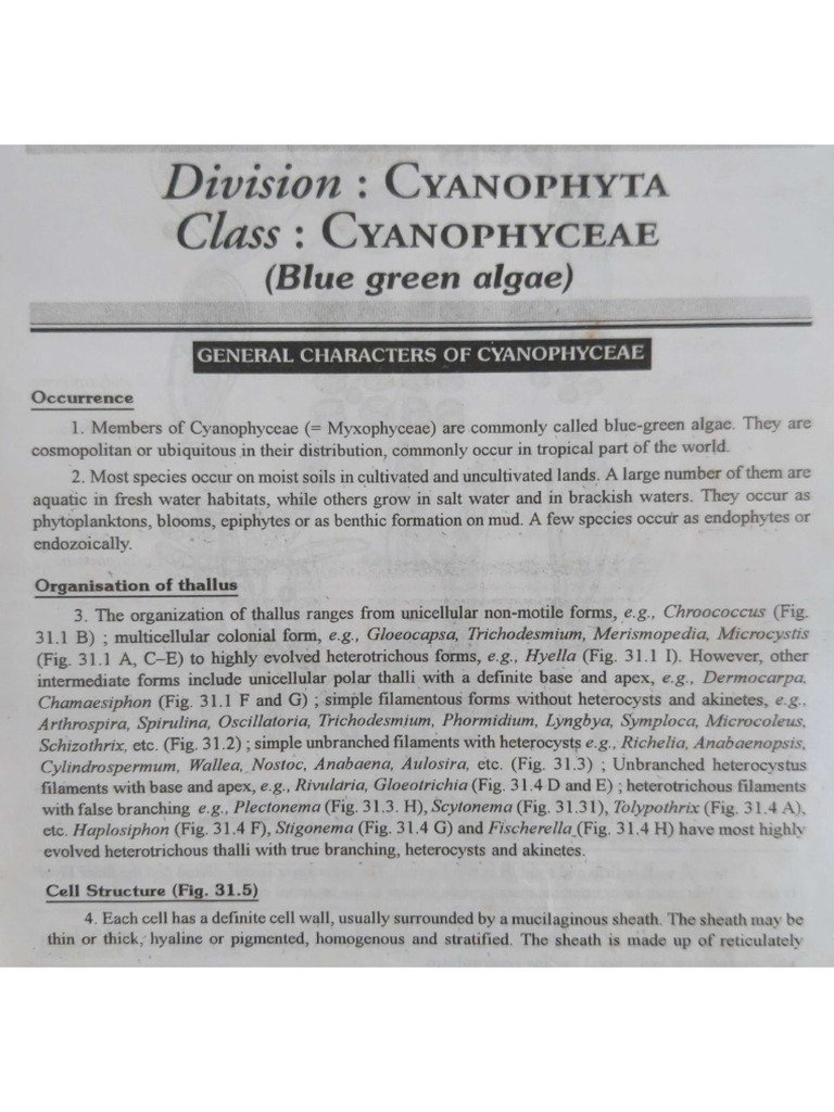 Cyanophyta -- general characteristics | PDF