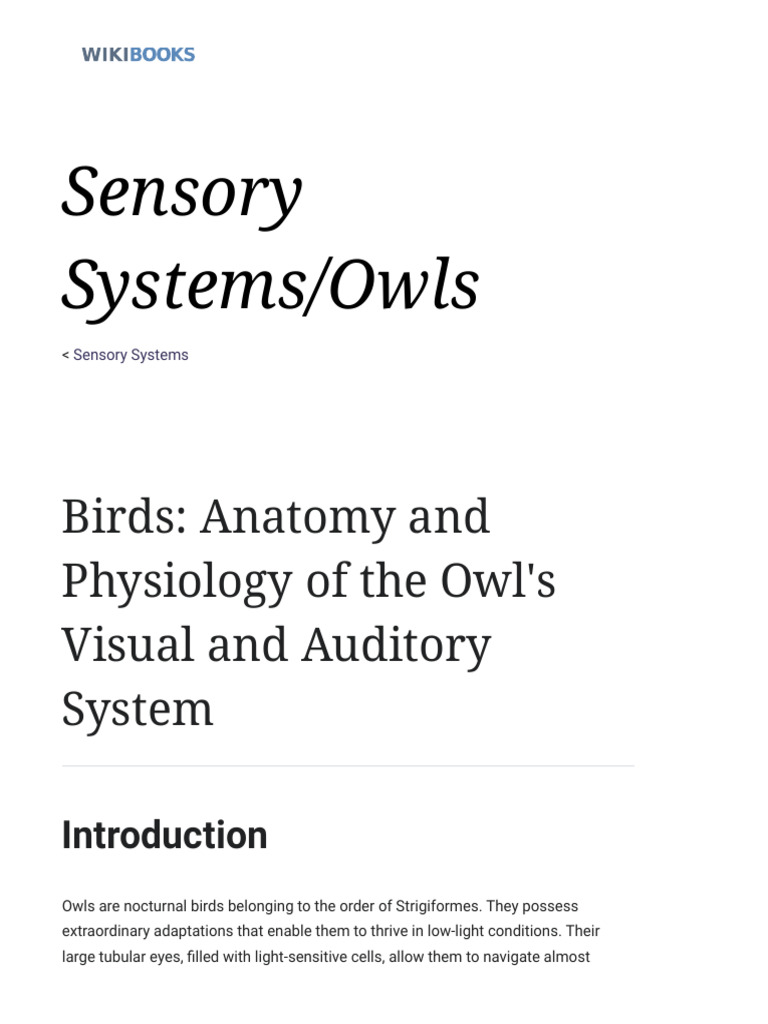 Editing Sensory Systems - Owls - Wikibooks, Open Books For An Open World | PDF