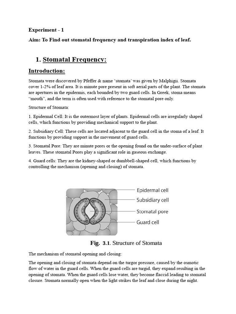 1 Stomatal Frequency and Transpiration Index | PDF