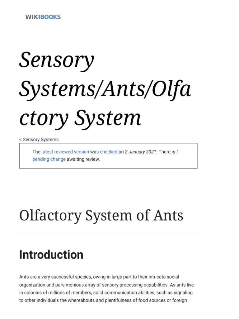 Sensory Systems - Ants - Olfactory System - Wikibooks, Open Books For An Open World | PDF