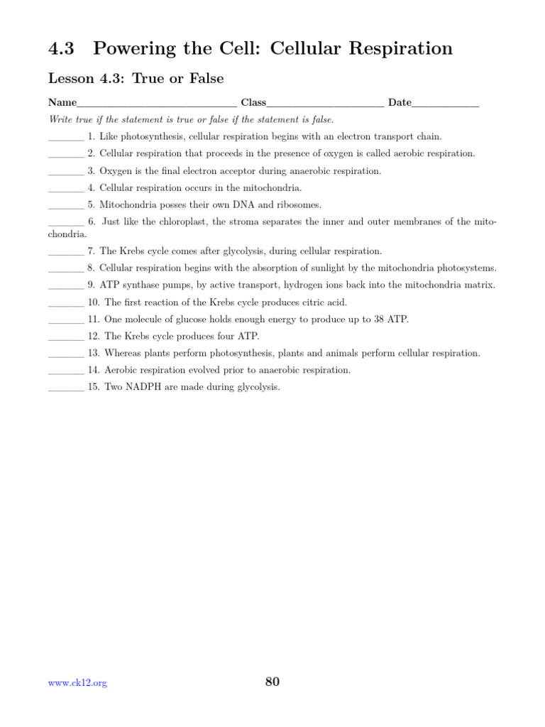 Cellular Respiration Worksheet | PDF