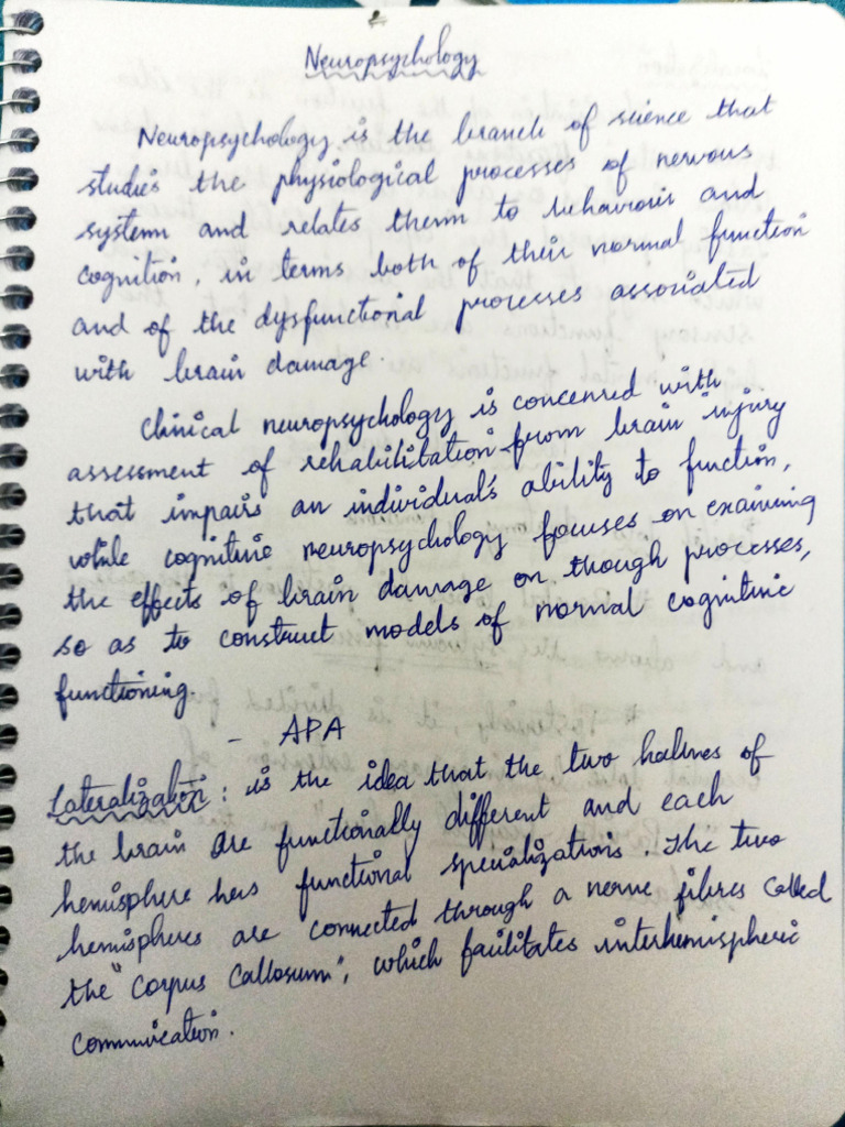 Lateralization & Localisation | PDF