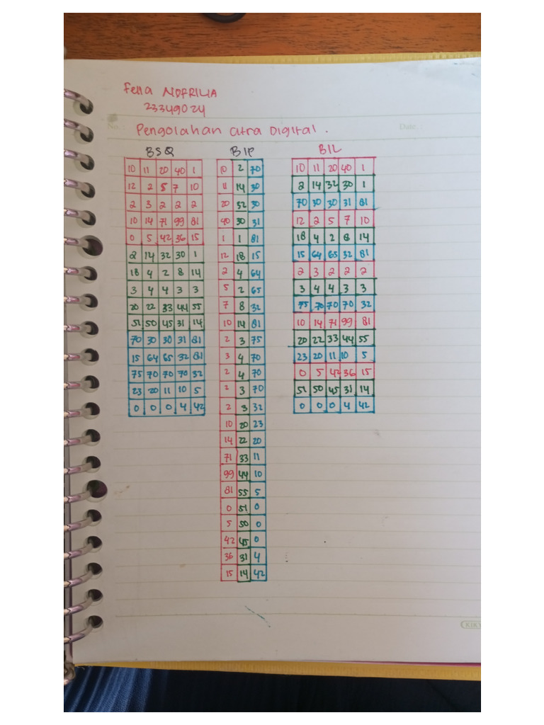 Tugas 1 PCD Fella | PDF