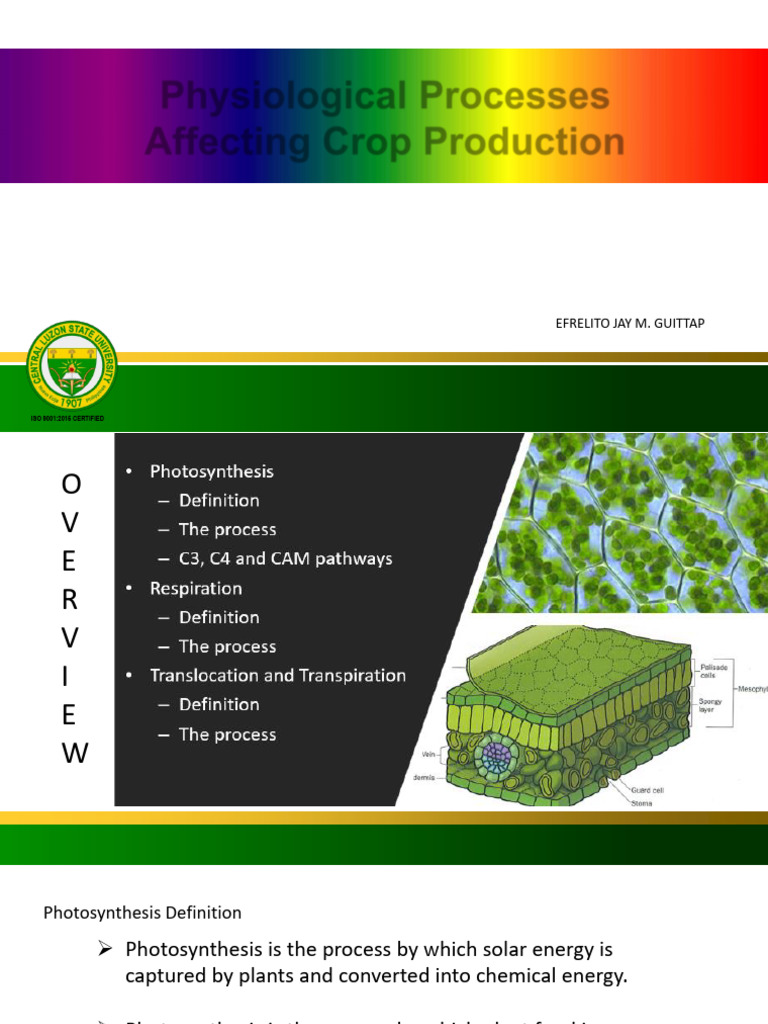 UNIT IV PHYSIOL PROCESS_copy | PDF