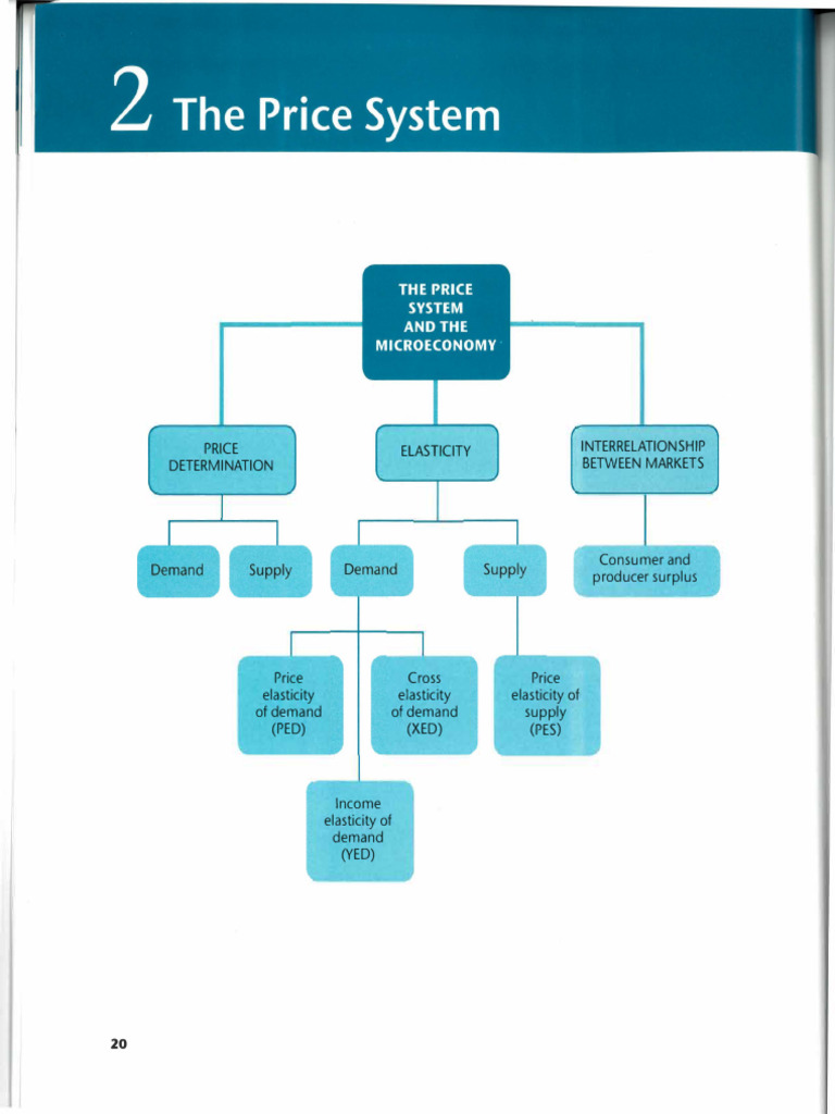 Price Determination: Elasticity | PDF