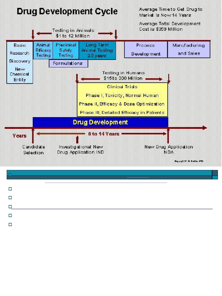 Drug Development Cycle | PDF