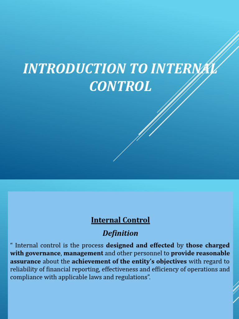 CA Internal Control | PDF