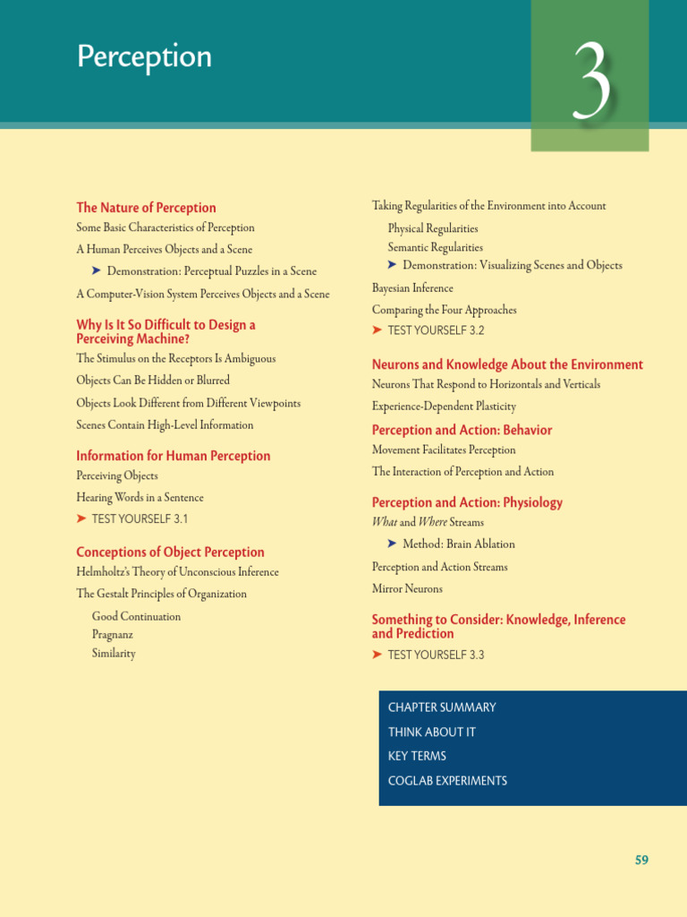 Perception (Chapter 3) Part1 - From E. Bruce Goldstein, Cognitive Psychology (2020) | PDF
