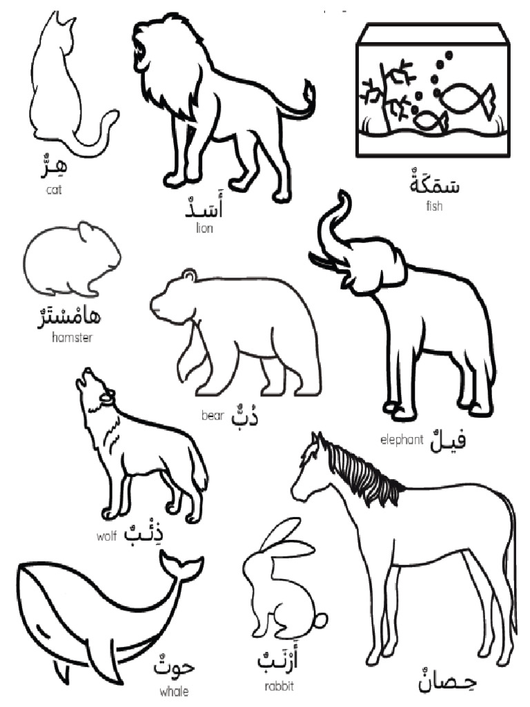 Animals | PDF