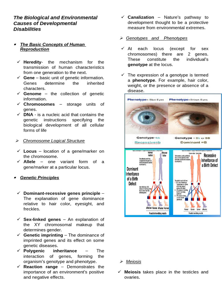 Sned Pnotes Biology | PDF