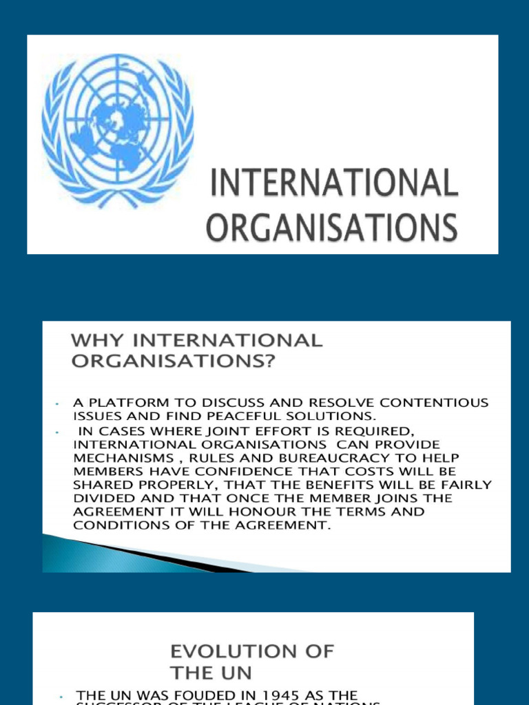 Chapter 6 International Organisations | PDF
