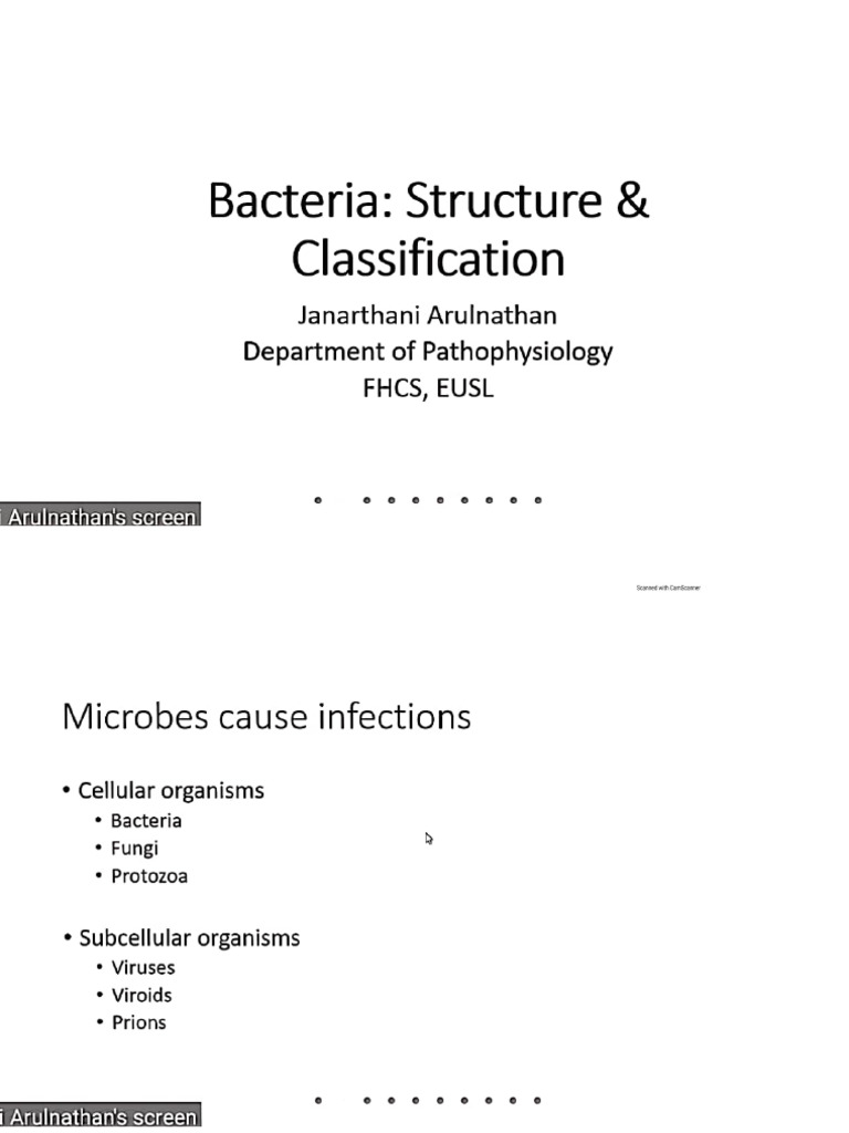 bacteria | PDF