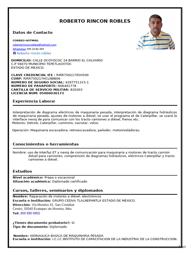 Curriculum Roberto Rincon | PDF