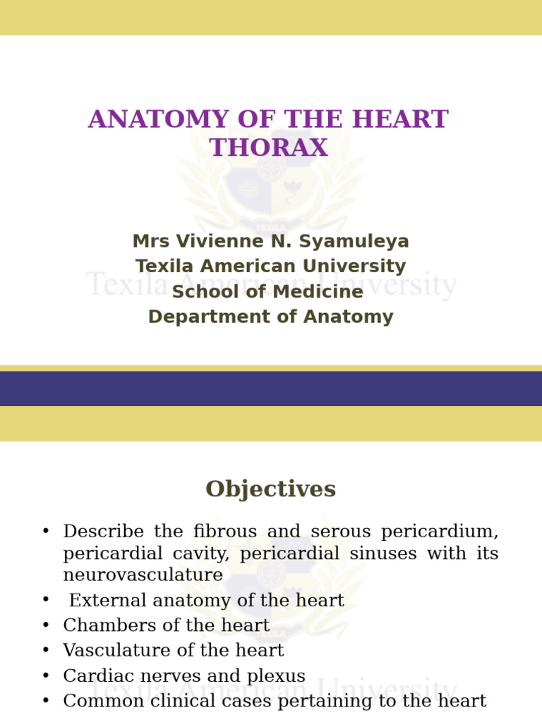 THE ANATOMY OF THE HEART | PDF