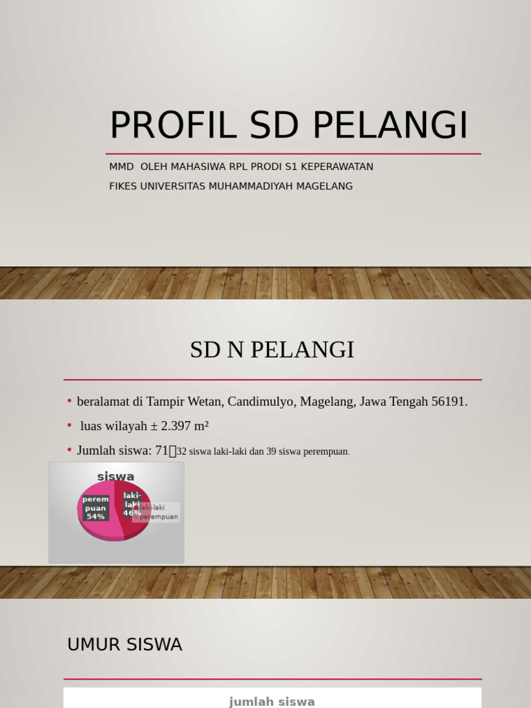 Profil SD Pelangi | PDF