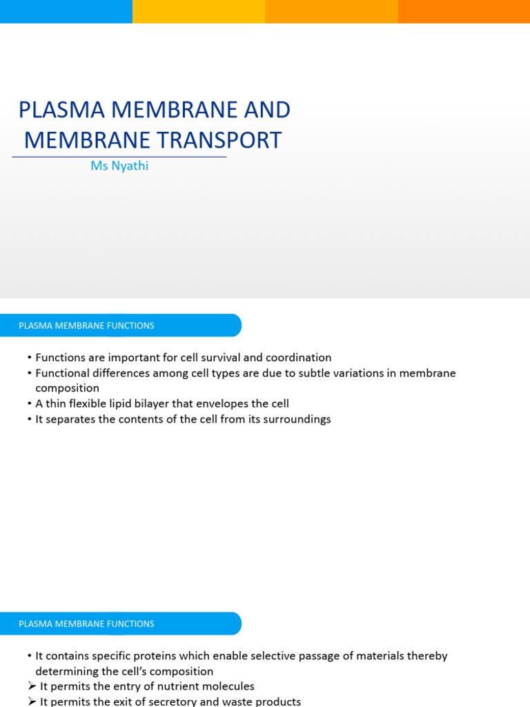 Plasma Membrane | PDF