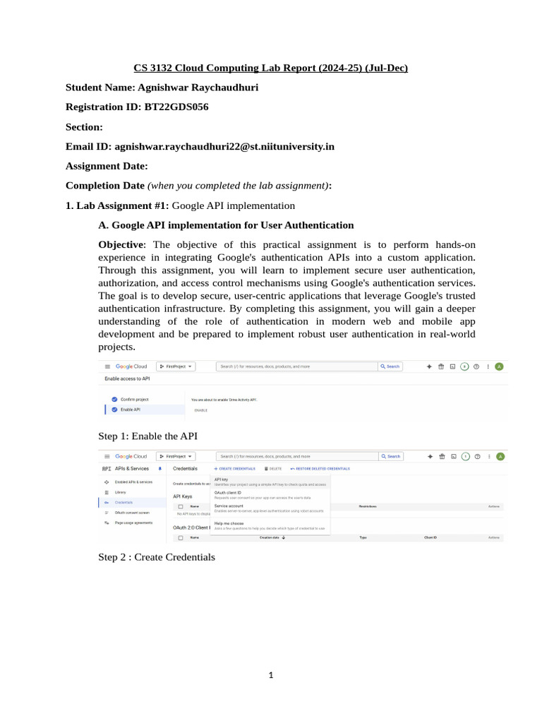 Lab Assignment 1 Google API Implementation | PDF
