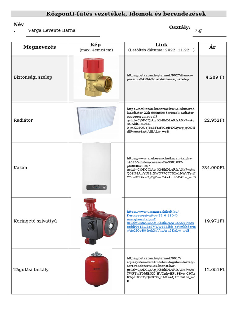 Varga Levente Barna | PDF