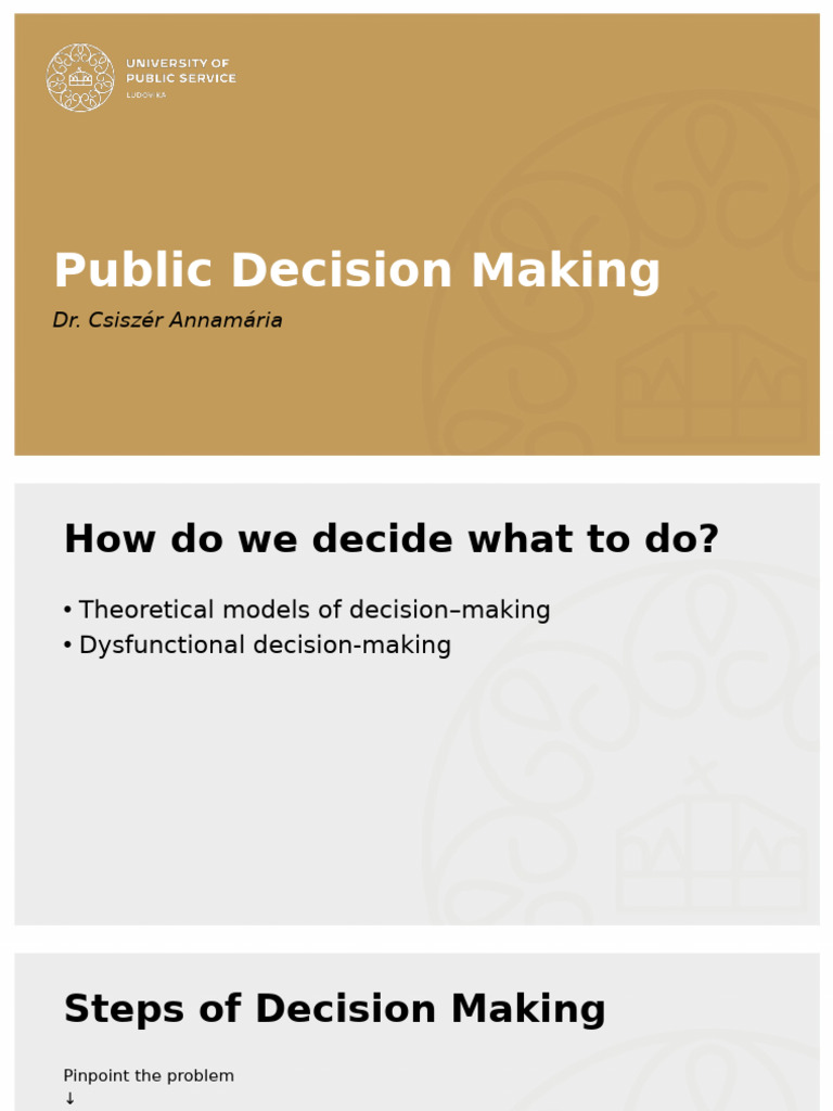 Public Decision Making | PDF