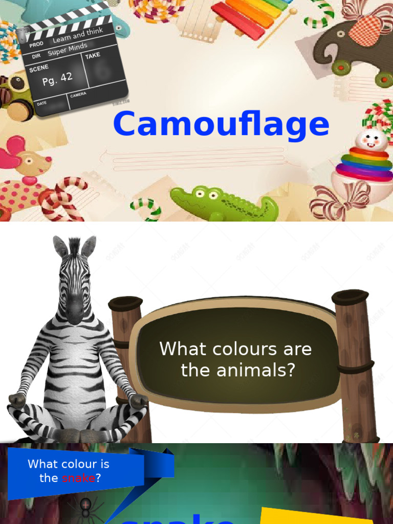 Camouflage | PDF