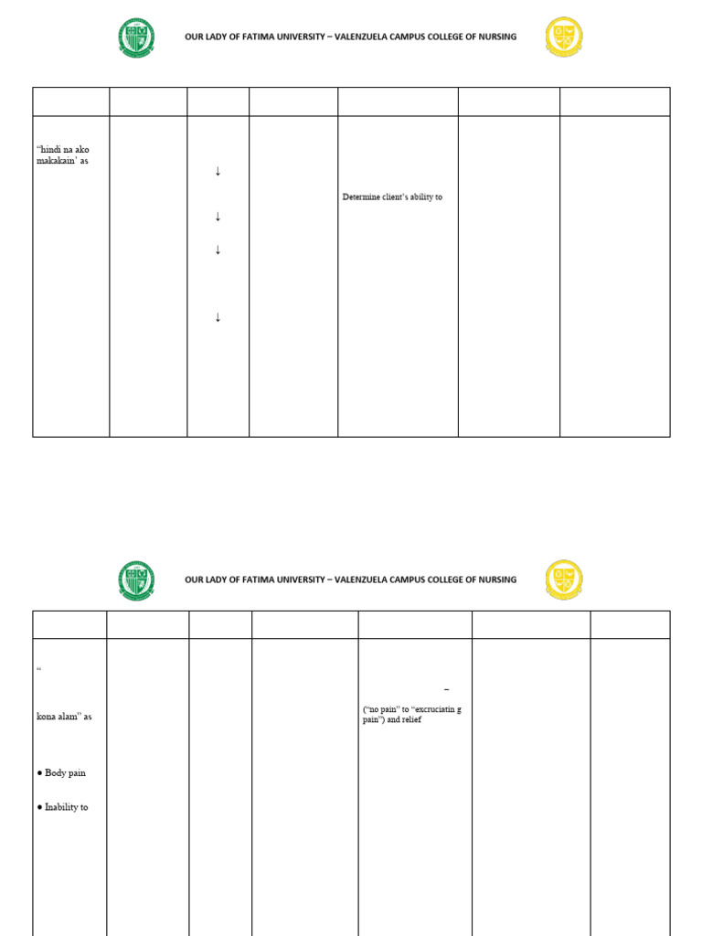 NCP and Drug Study Case Study | PDF