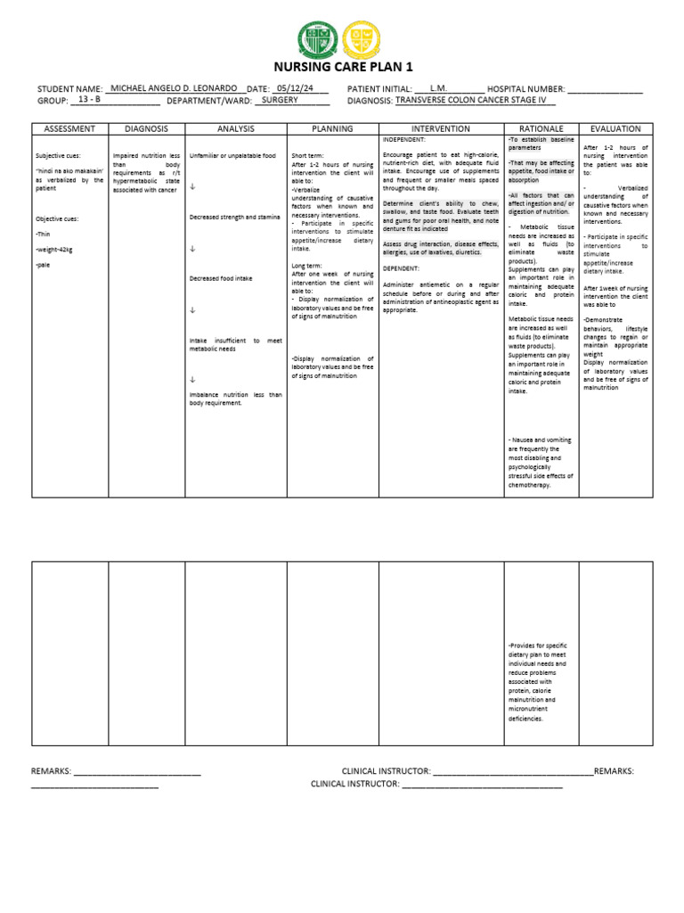 NCP Format For Ched Leonardo | PDF