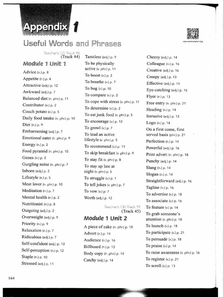 Useful Words and Phrases | PDF