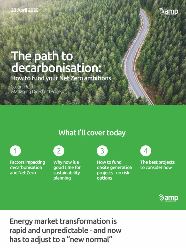 The Path To Decarbonisation 1589004880 | PDF