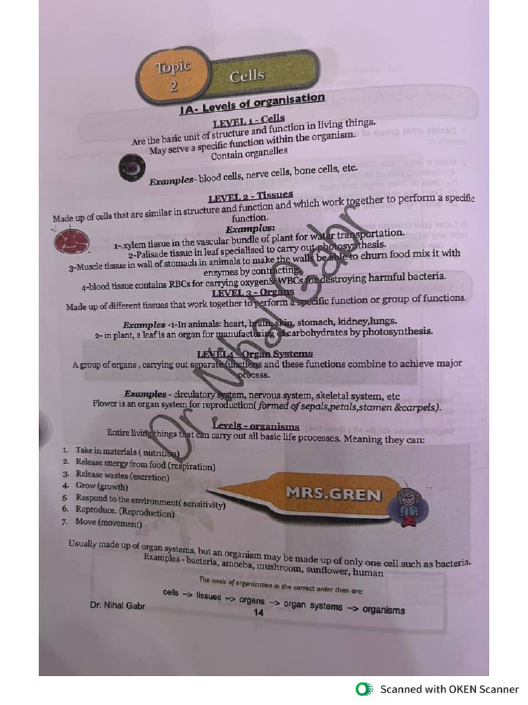 Cell Str. and Movement | PDF