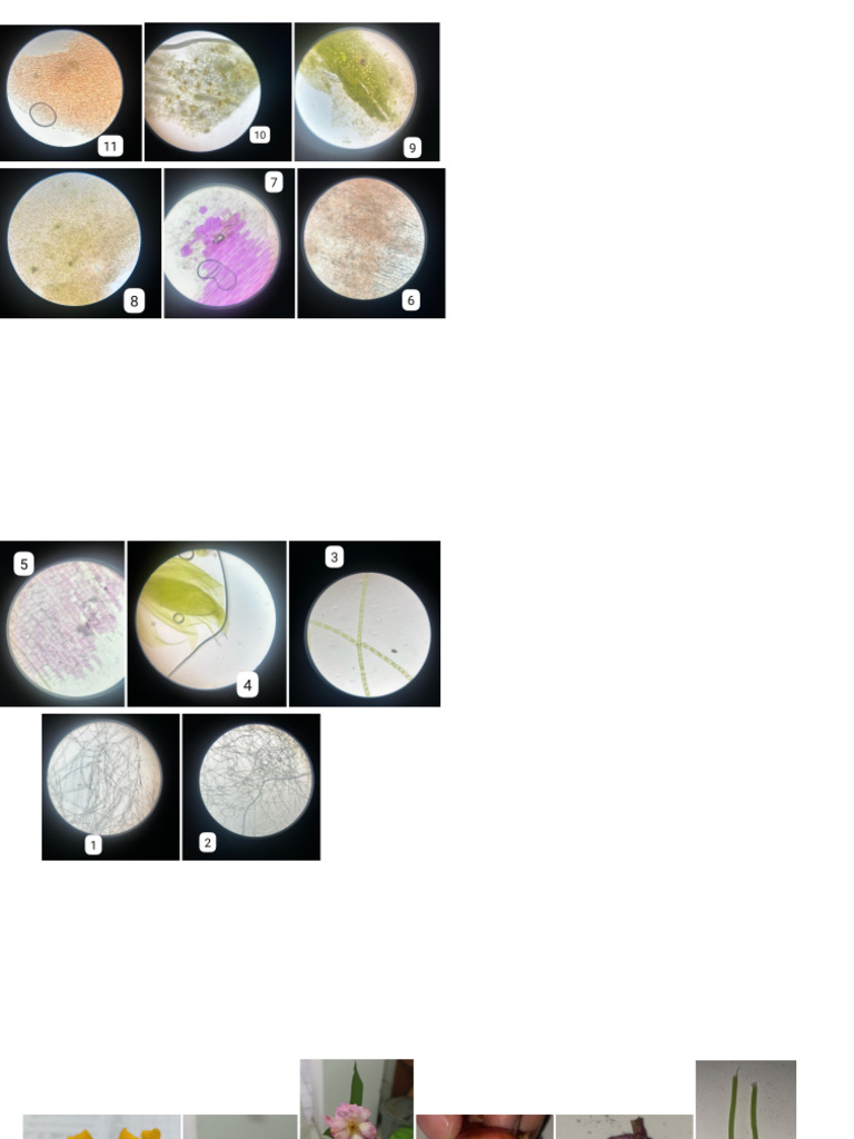 Gambar Modul 1-4 | PDF