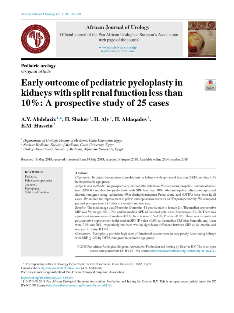 Pyeloplasty in Less Then 10% FUNCTION | PDF