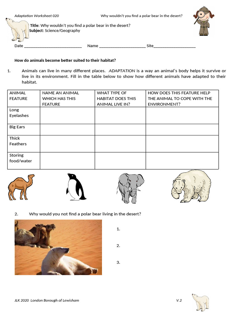 020 Adaptation Worksheet Why Wouldnt You Find A Polar Bear in The ...