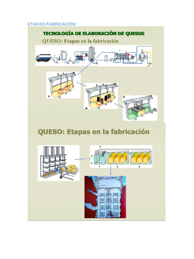 resumen queso | PDF