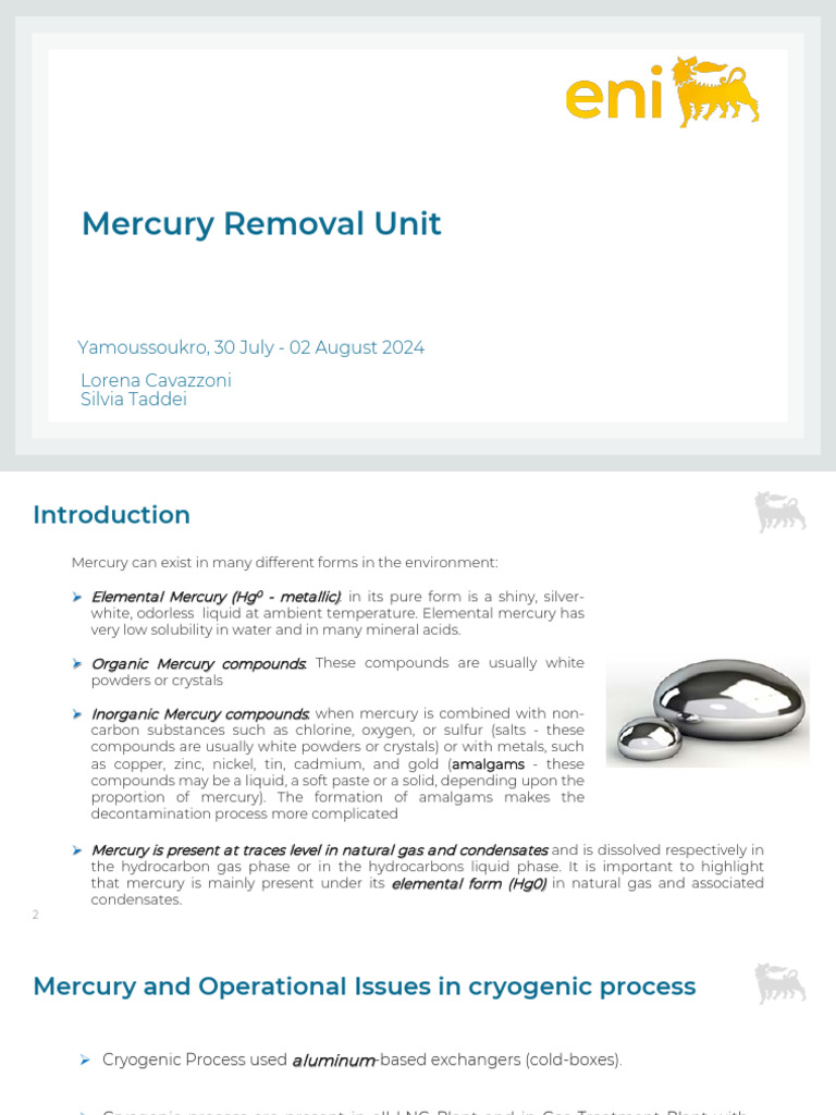 Mercury Removal 2024 00 | PDF
