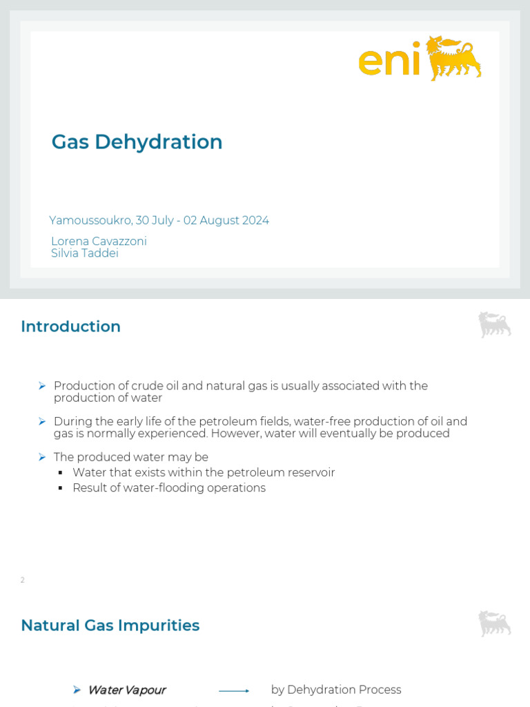 Gas Dehydration 2024 00 | PDF