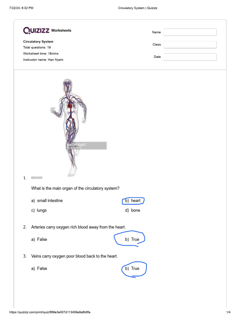 Circulatory System _ Quizizz Aurora | PDF