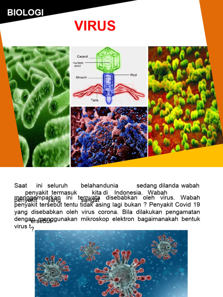VIRUS. 1 | PDF