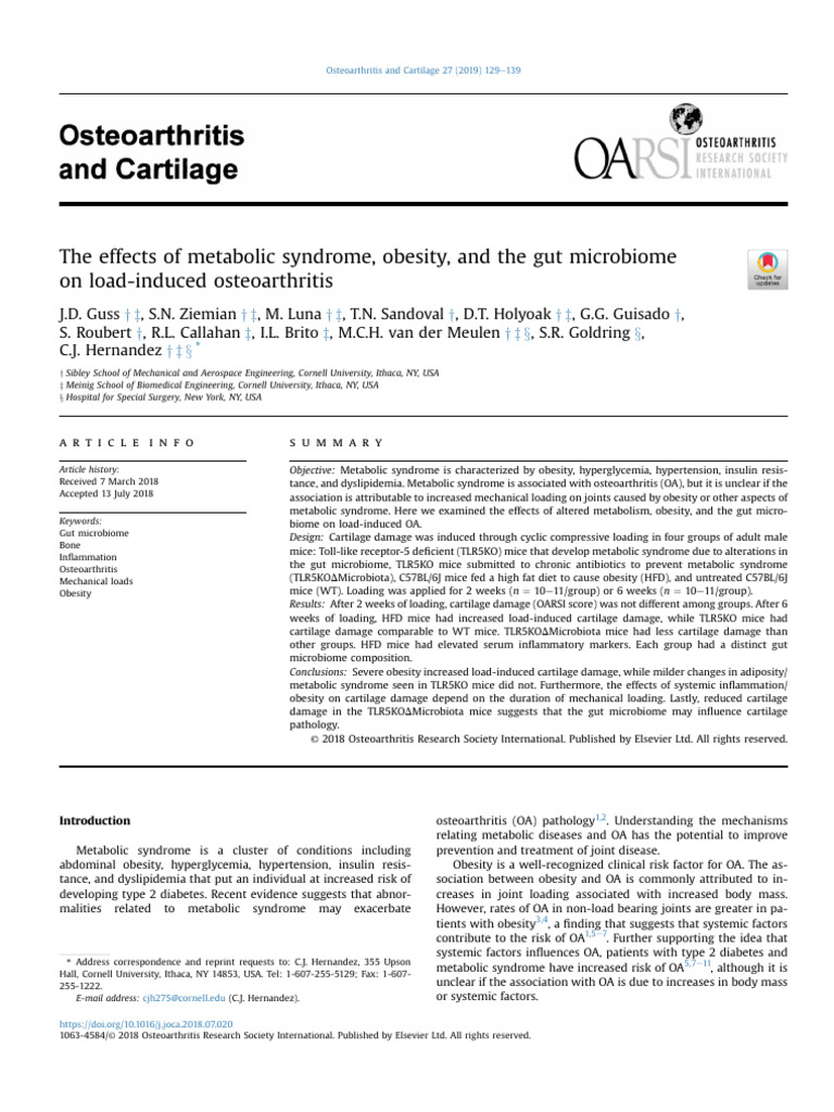 The Effects of Metabolic Syndrome, Obesity, And the Gut Microbiome ...