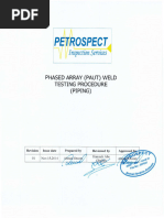 Piping PAUT Report | PDF