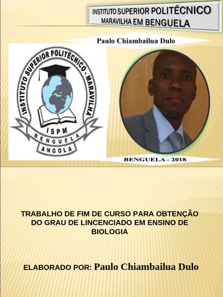APRESENTACAO PAULO NDULO 3 | PDF