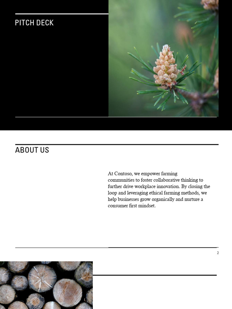 Cronicle Design Statement | PDF