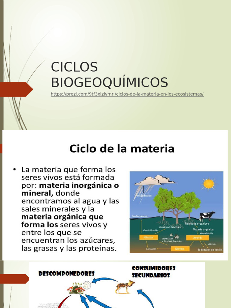 Ciclo de La Materia en Los Ecosistemas | PDF