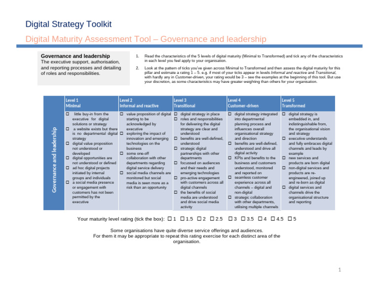 Part1-DT01. Governance and Leadership Assessment | PDF