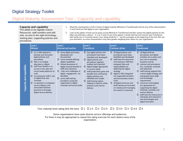 Part1-DT03. Capacity and Capability Assessment | PDF | Policy | Business