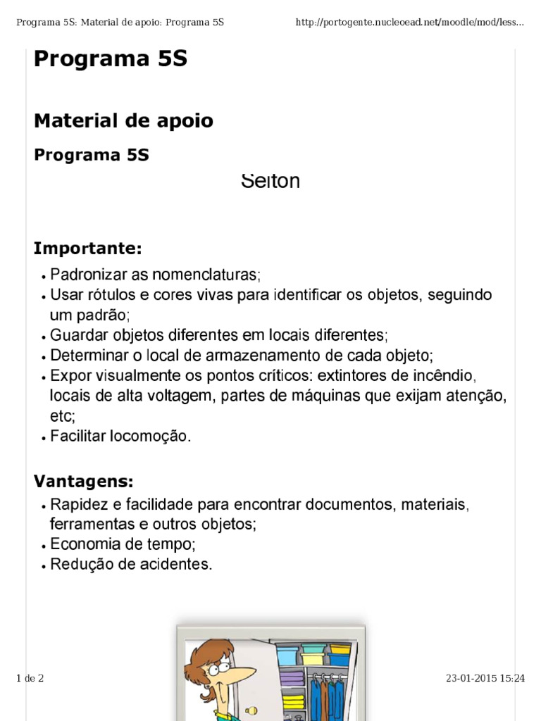 Programa 5S Material de Apoio Programa 5S pg04 | PDF