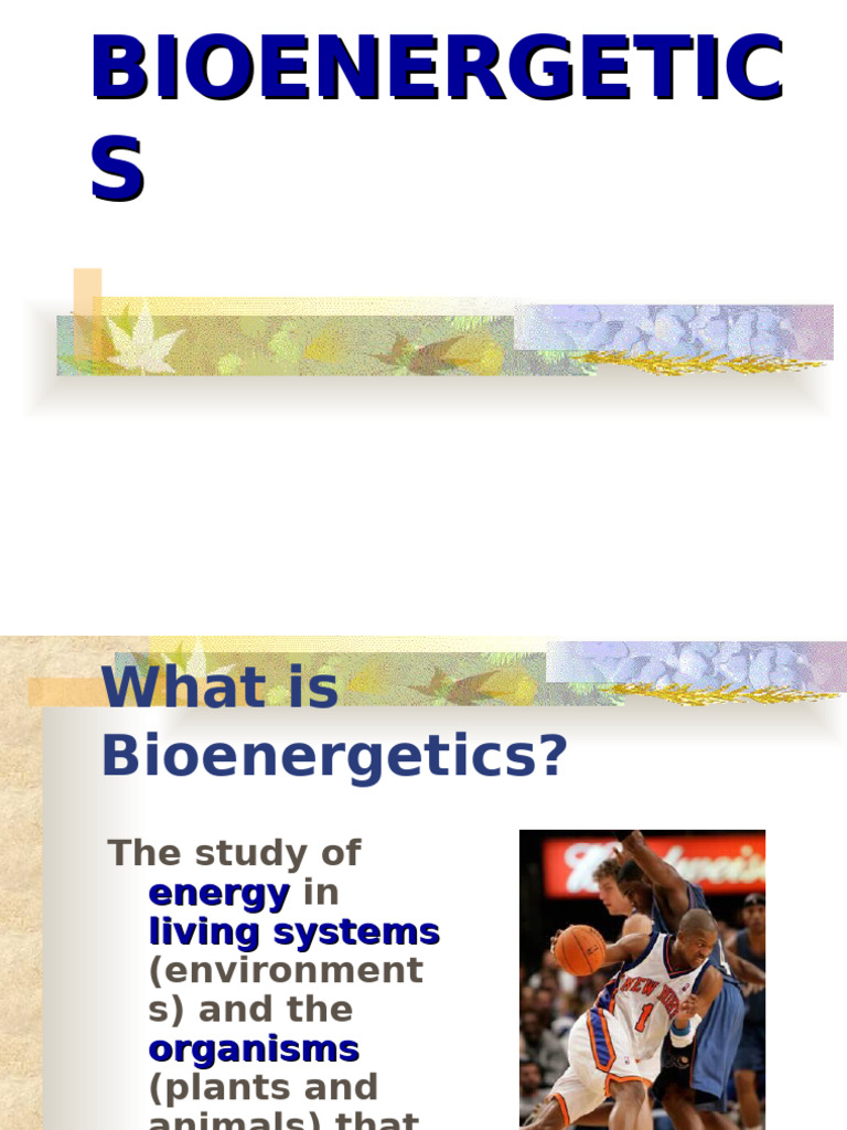 Bioenergetics Cellular Respiration | PDF