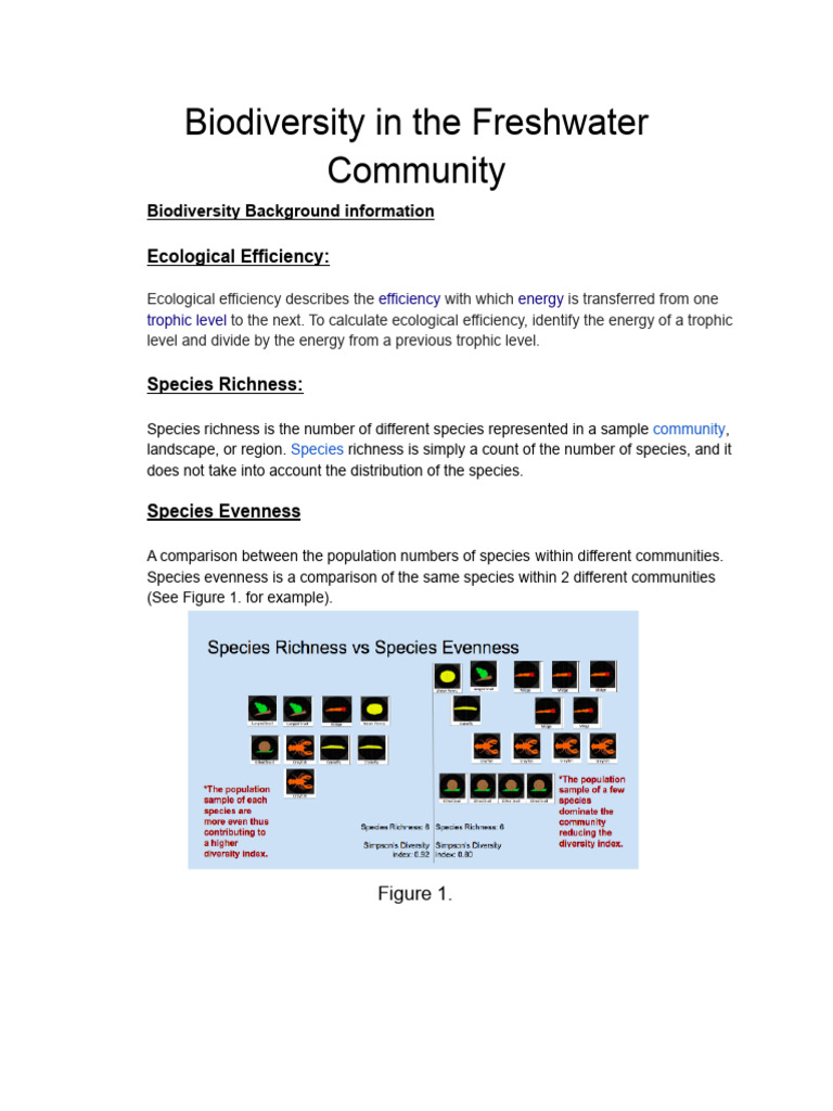 (Formative - Simpson's Index) Freshwater Biodiversity Community-Meiko Gunawan | PDF